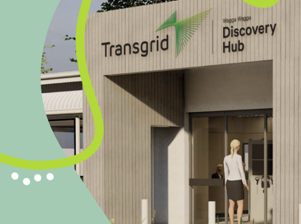 Leading The Way To A Clean Energy Future | Transgrid