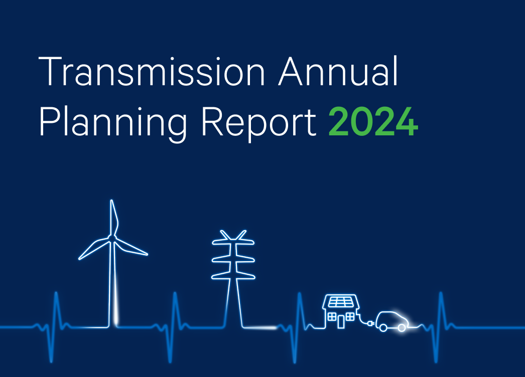 Transmission Annual Planning Report 2024 | Transgrid