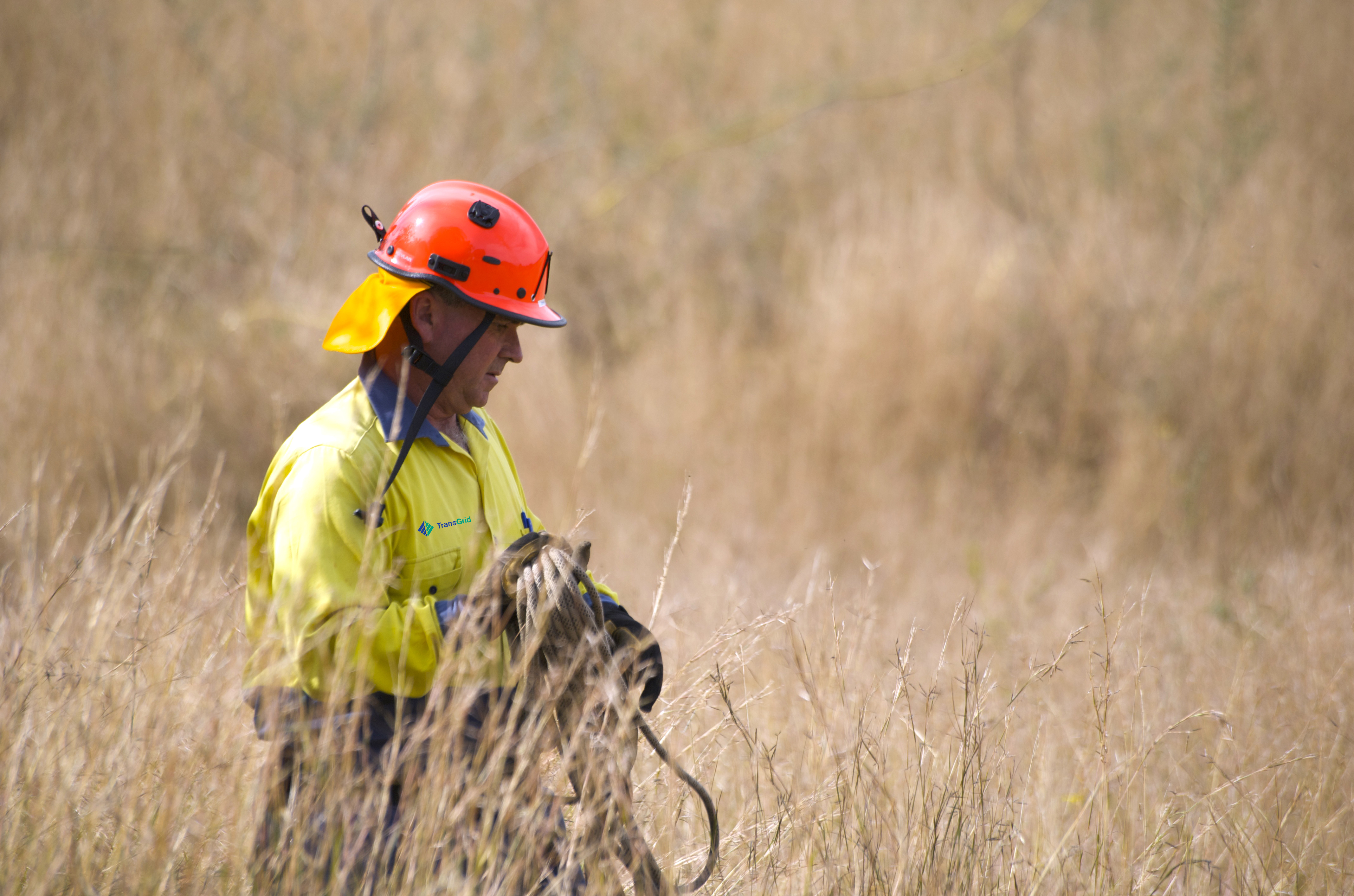 Managing Risk - Bush Fire Risk Management Plan | Transgrid