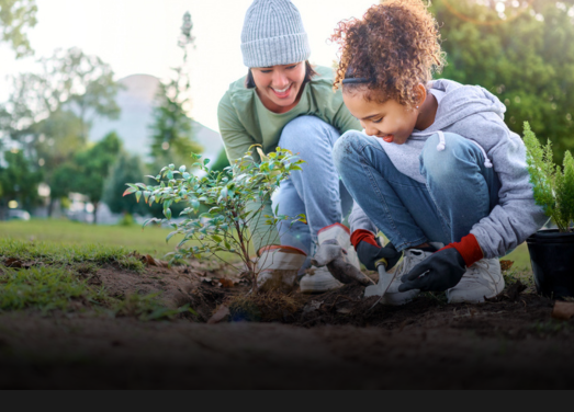 Leading The Way To A Clean Energy Future | Transgrid