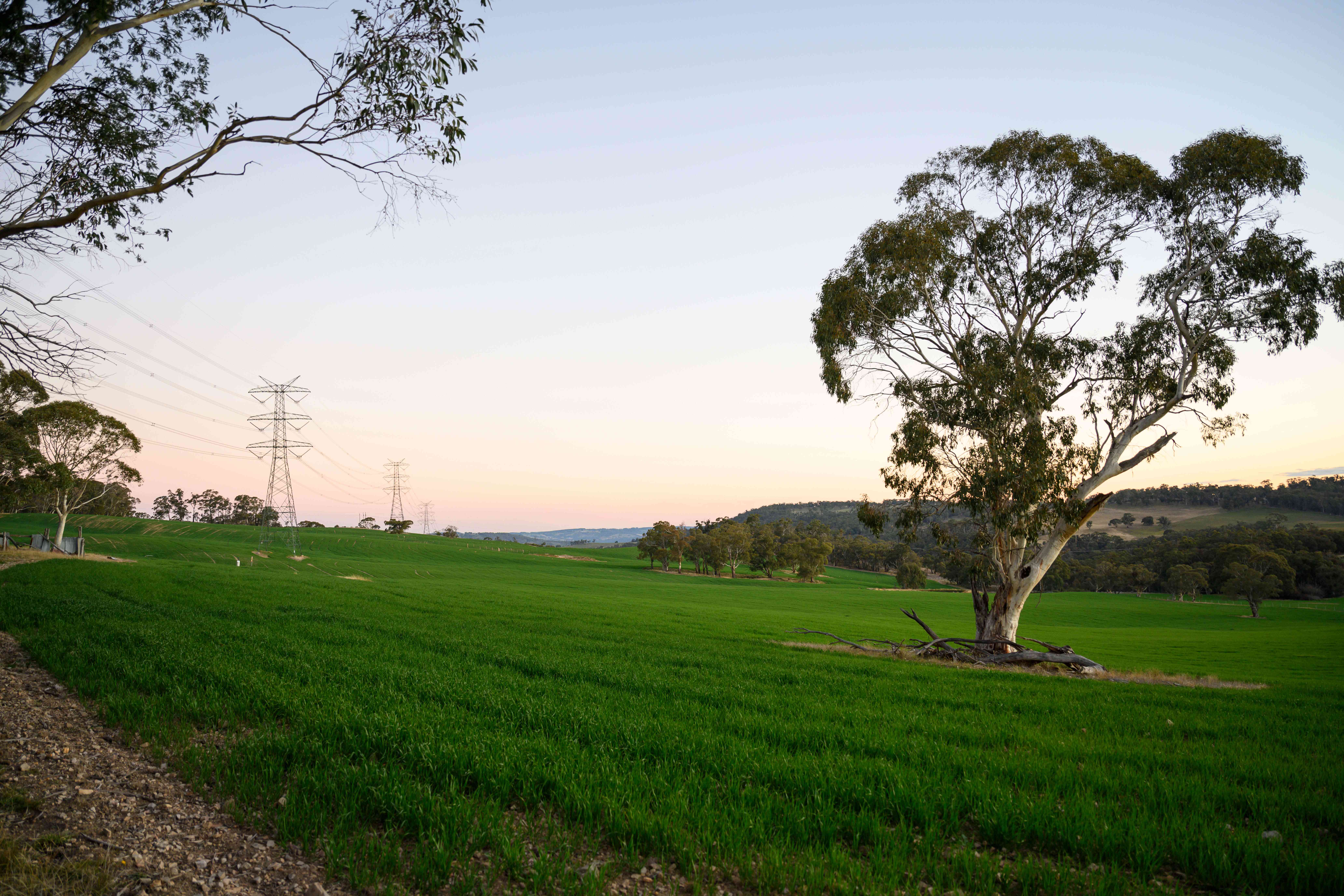 Strategic Payments for Landowners | Transgrid
