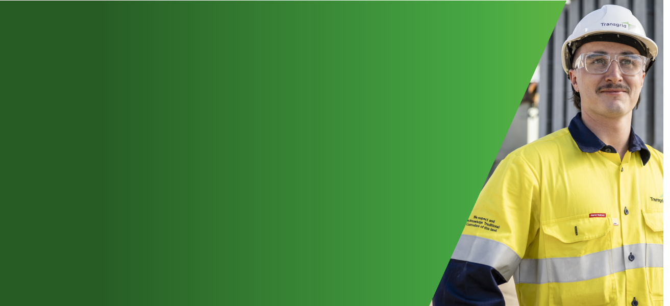 Transmission Annual Planning Report 2025 | Transgrid