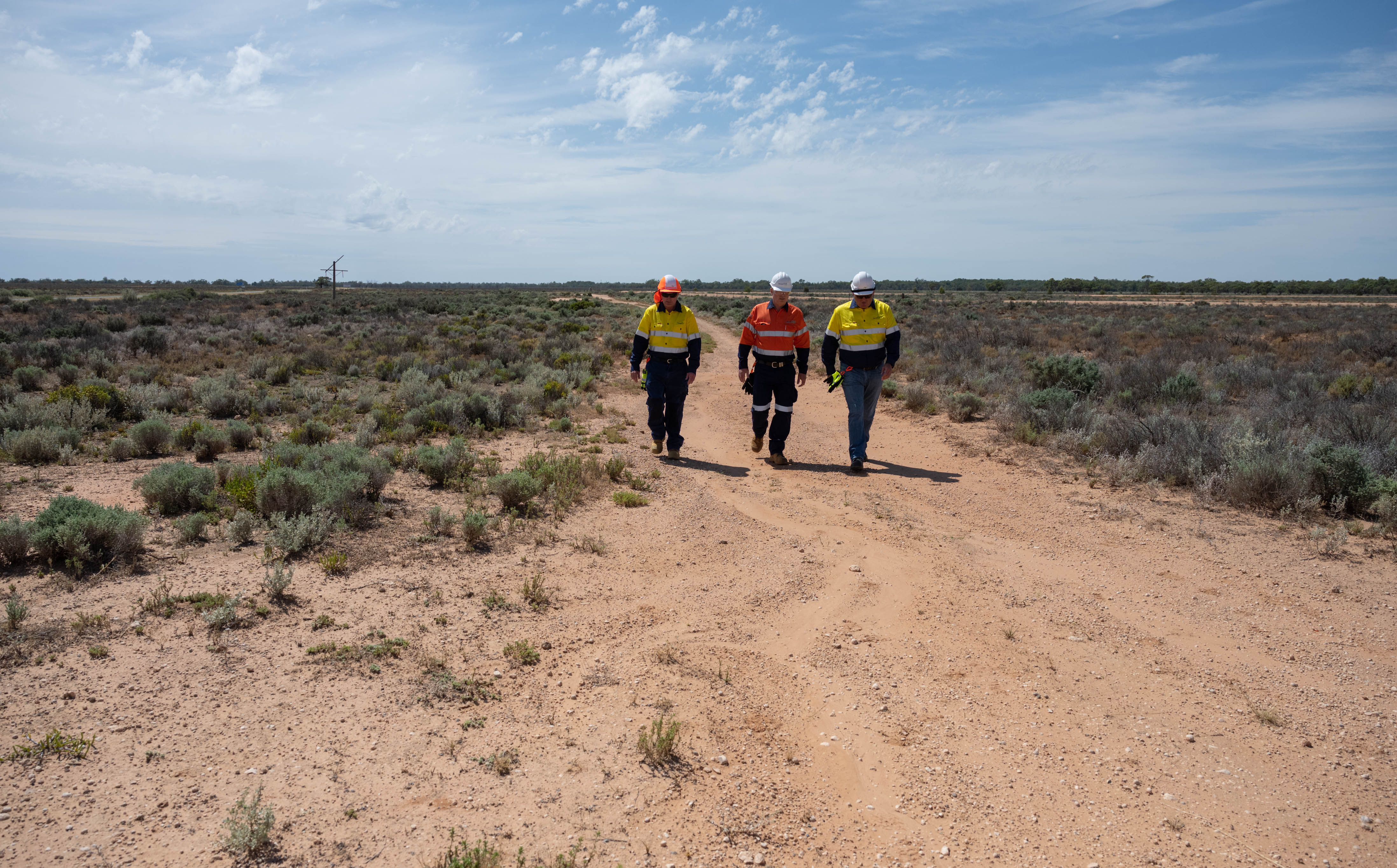 Reduce Carbon Footprint on EnergyConnect | Transgrid