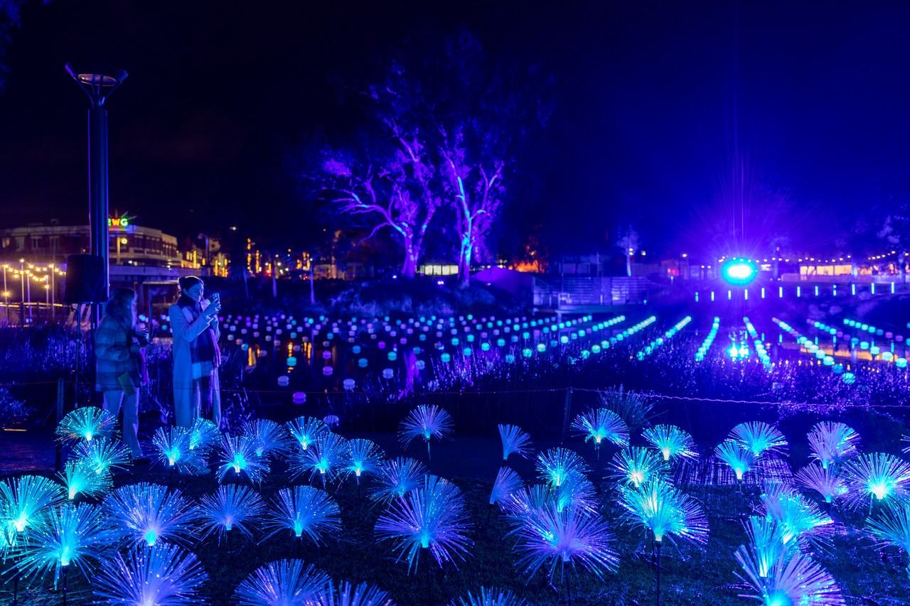 Transgrid to Light Up Wagga for Festival of W | Transgrid